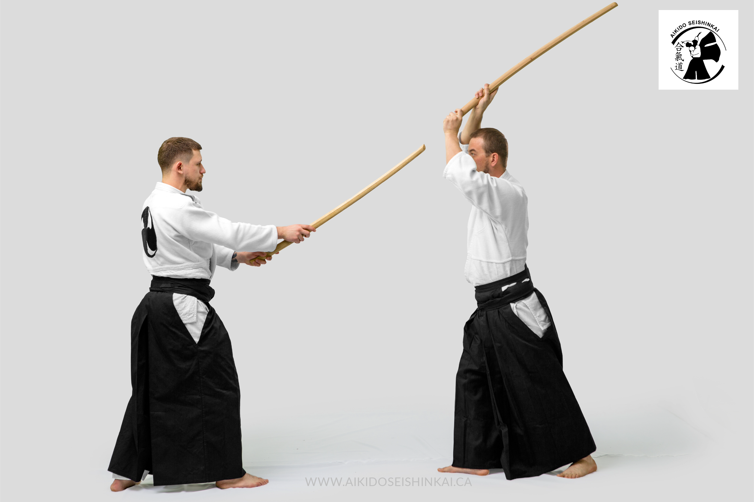 Bokken Practice – Aikido Seishinkai